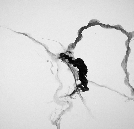 Made by Worms - Denise Tassin | Artist