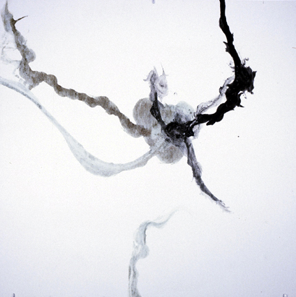 Made by Worms - Denise Tassin | Artist