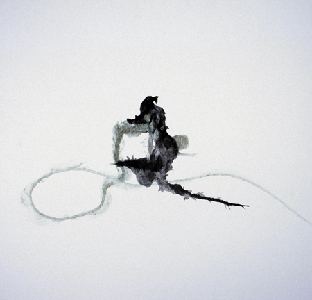 Made by Worms - Denise Tassin | Artist