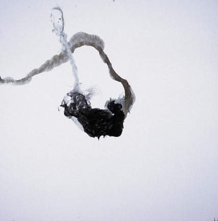 Made by Worms - Denise Tassin | Artist
