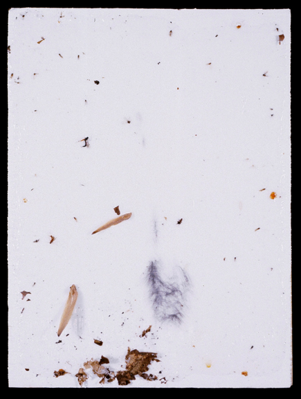 Sticky Paintings - Denise Tassin | Artist