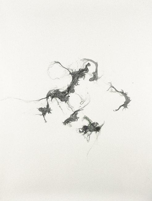 Made by Worms - Denise Tassin | Artist