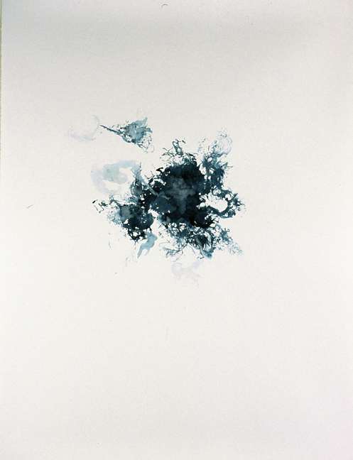 Made by Worms - Denise Tassin | Artist