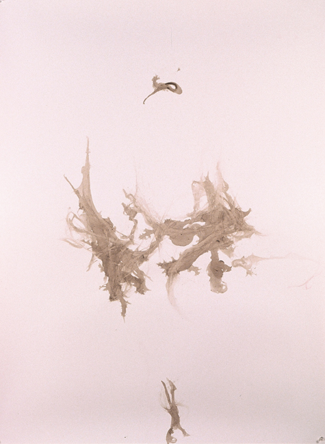 Made by Worms - Denise Tassin | Artist