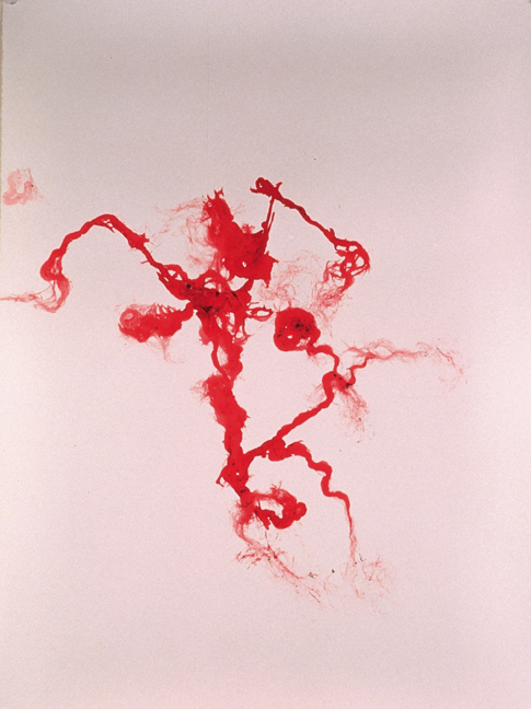 Made by Worms - Denise Tassin | Artist
