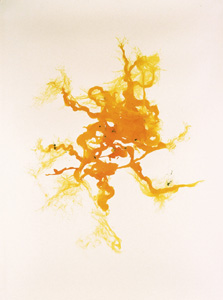 Made by Worms - Denise Tassin | Artist